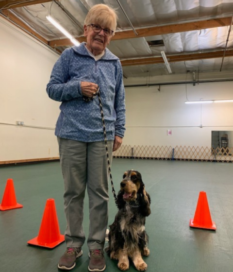 Veterinarian In Fremont, CA | Mission Valley Veterinary Clinic